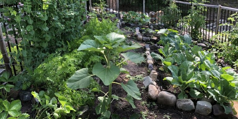 ᐅ No Dig Gardening: Einfach Boden Lockern Ohne Umgraben!