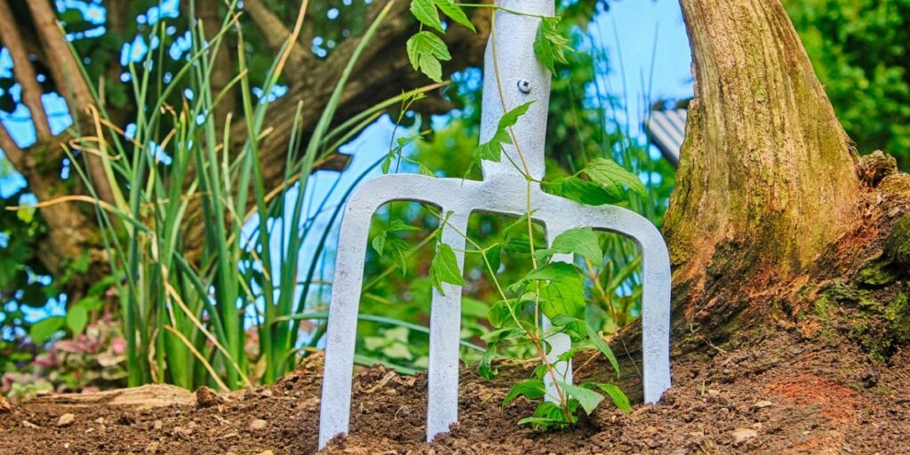 ᐅ No Dig Gardening: Einfach Boden Lockern Ohne Umgraben!